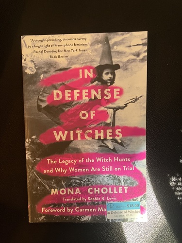 In Defense of Witches – The Dog Eared Book