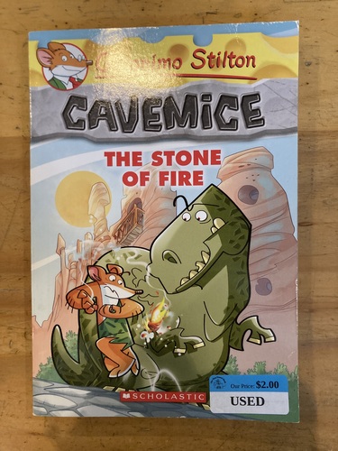 The Stone of Fire – The Dog Eared Book