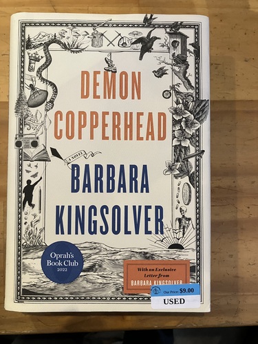 Demon Copperhead – The Dog Eared Book