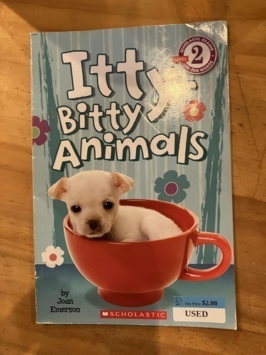 Itty-Bitty Animals – The Dog Eared Book