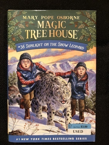 Sunlight on the Snow Leopard – The Dog Eared Book