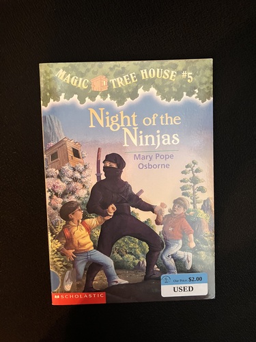 Night of the Ninjas – The Dog Eared Book
