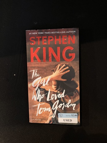 The Girl Who Loved Tom Gordon – The Dog Eared Book